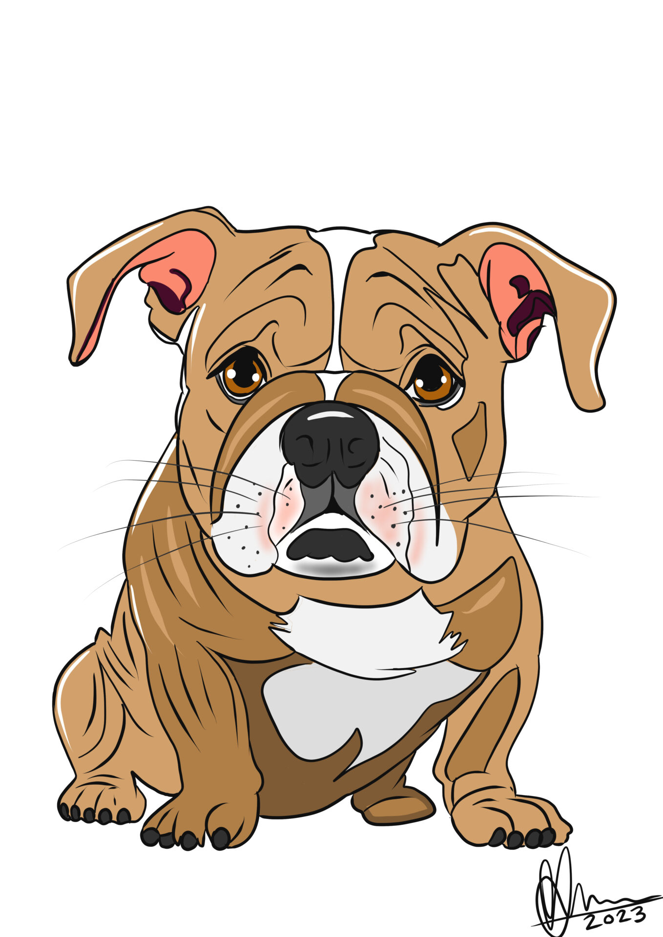 Teddy The English Bulldog > Sanders